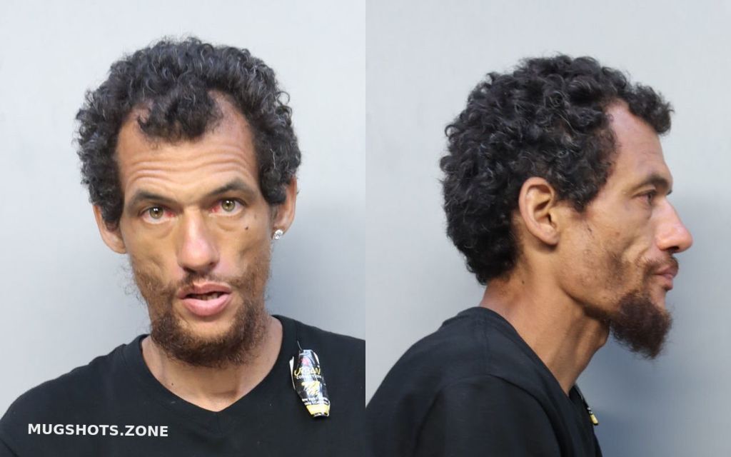 HUNT JOSHUA DAVID 03/29/2022 - Miami-Dade County Mugshots Zone