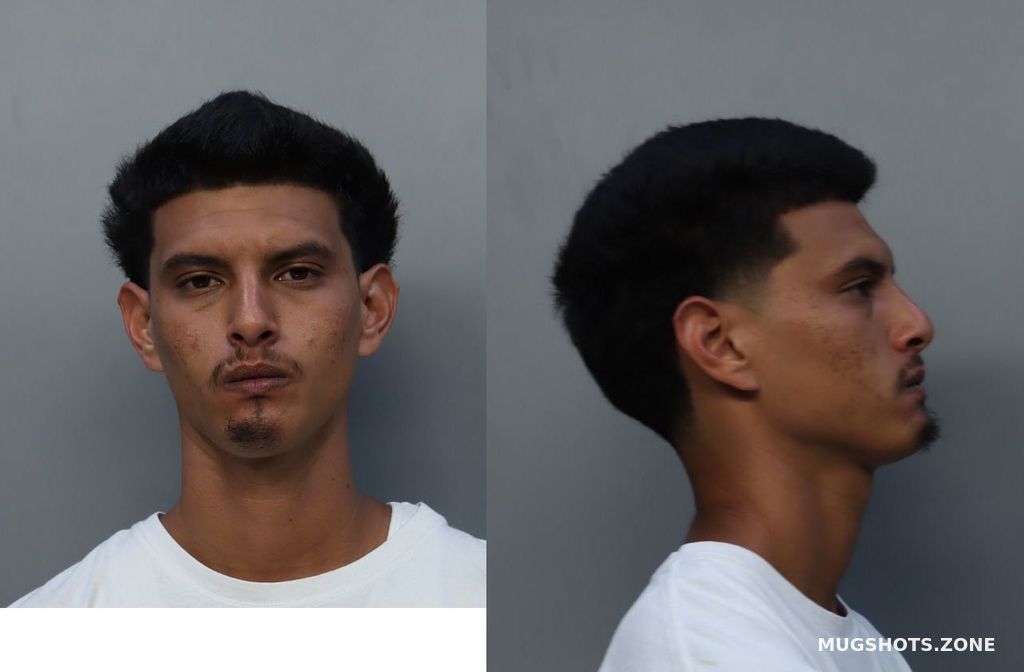 RAPPACCIOLI ROBERT 04/05/2022 - Miami-Dade County Mugshots Zone