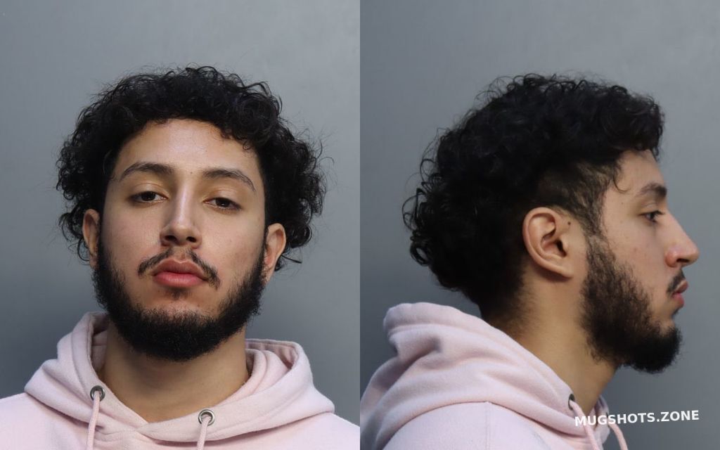 GIZ KEVIN ALEXANDER 04/06/2022 - Miami-Dade County Mugshots Zone