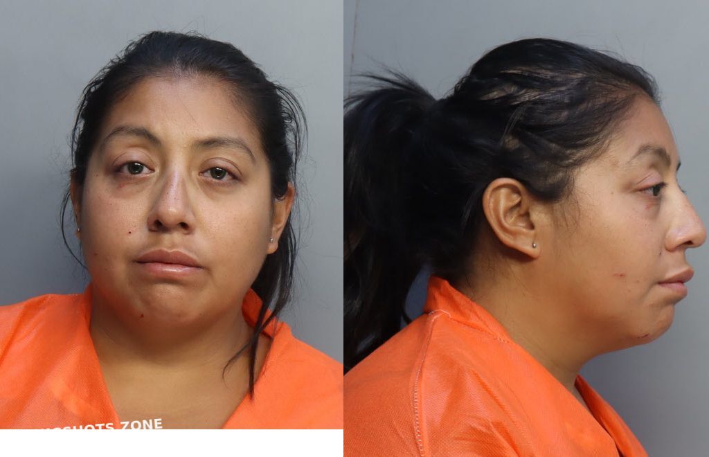 CASTILLO GLADIS EDITH 04/14/2022 - Miami-Dade County Mugshots Zone