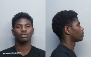 WHITFIELD TERRANCE 04/14/2022 - Miami-Dade County Mugshots Zone