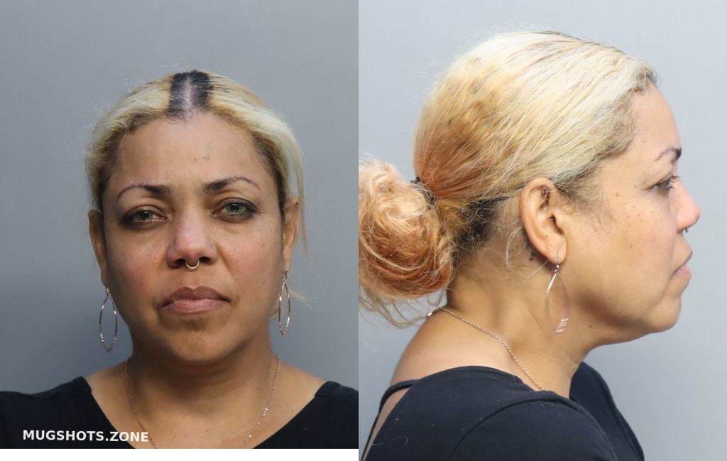HYNES AMY 04/16/2022 - Miami-Dade County Mugshots Zone