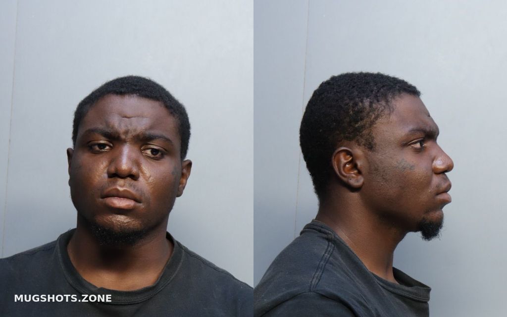 HAMILTON TYRELL 04/24/2022 - Miami-Dade County Mugshots Zone