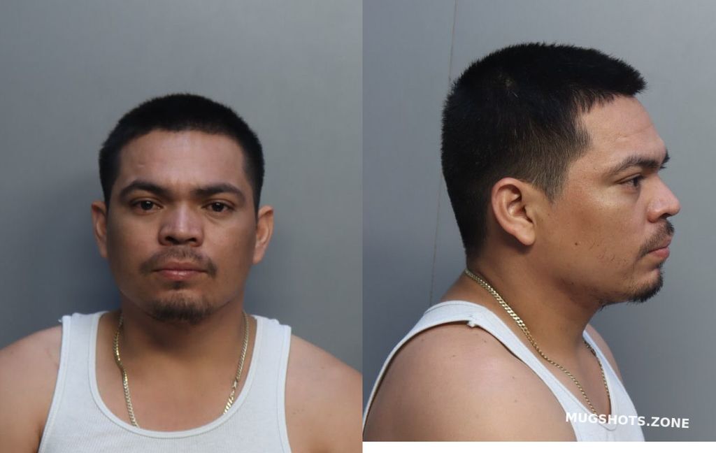 ALVAREZ ISMAEL 05/13/2022 - Miami-Dade County Mugshots Zone