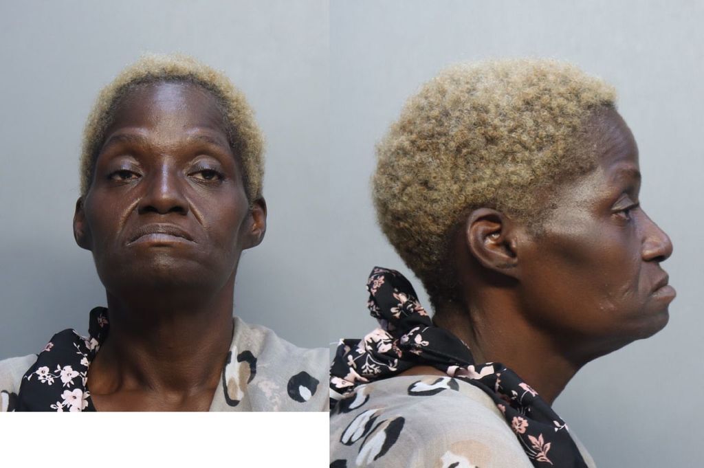 FULTON SOPHIA HERMINIA 05/16/2022 - Miami-Dade County Mugshots Zone