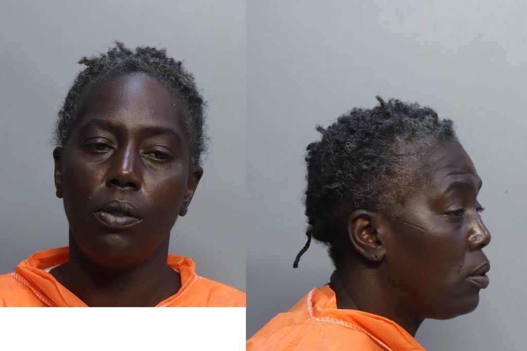 FREEMAN DENISE ANN 05/28/2022 - Miami-Dade County Mugshots Zone