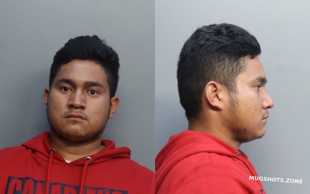 ZALDIVAR MARVIN GREGORIO 06/04/2022 - Miami-Dade County Mugshots Zone