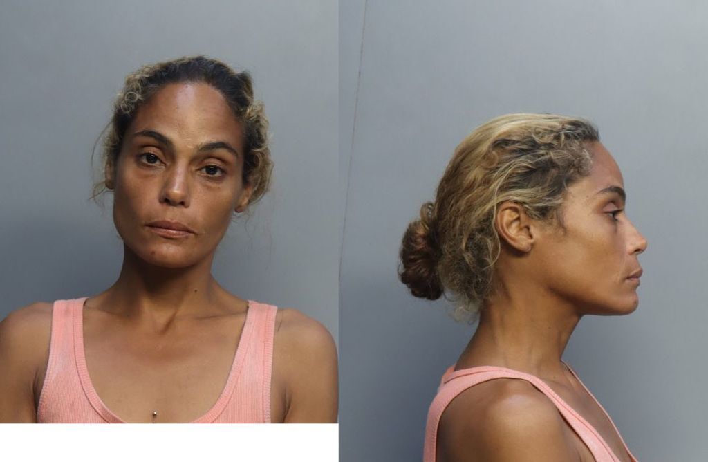 FELICIANO JENNIFER ALMA 06/10/2022 - Miami-Dade County Mugshots Zone