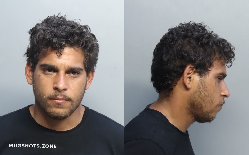 COSTA ALLEXANDER 06/10/2022 - Miami-Dade County Mugshots Zone