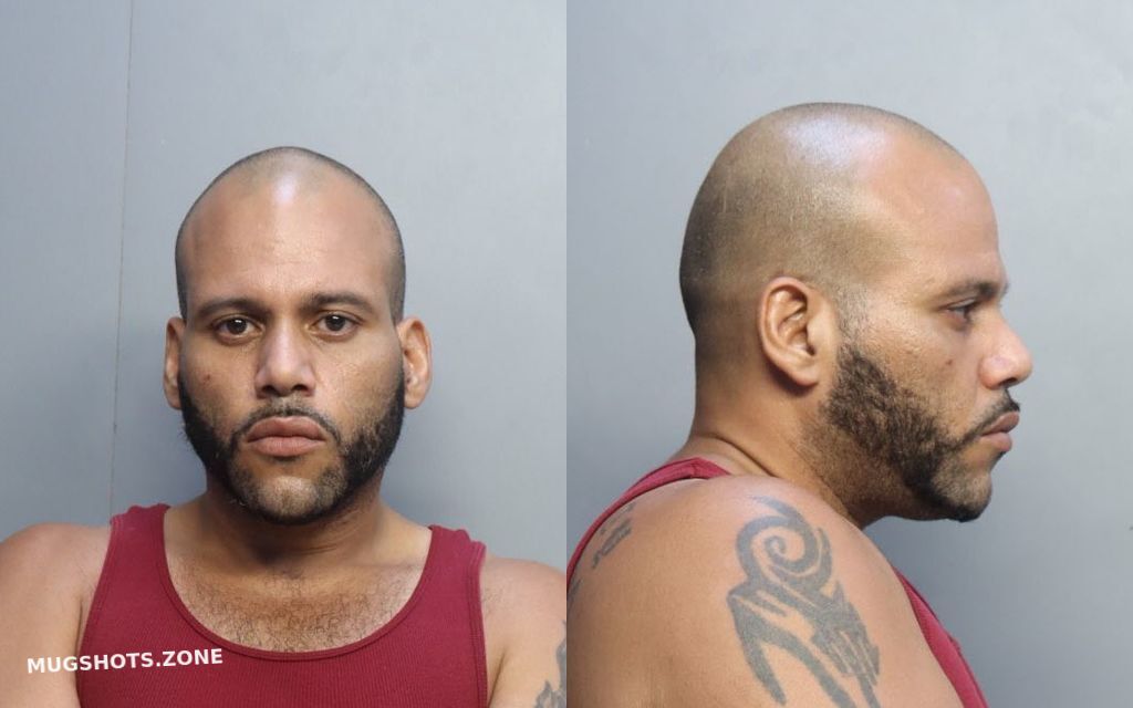 MATOS FERNANDO LUIS 06/11/2022 - Miami-Dade County Mugshots Zone