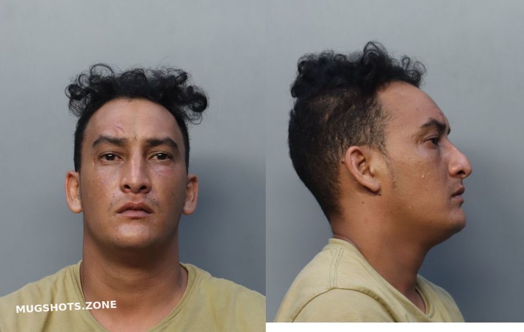 MIRANDASANTAELLA OSMANY 06/18/2022 - Miami-Dade County Mugshots Zone