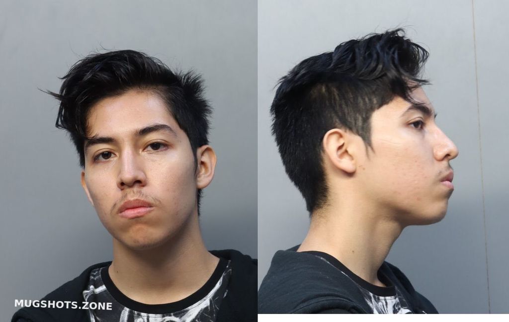 MEJIA JOSHUA JULIAN 06/23/2022 - Miami-Dade County Mugshots Zone