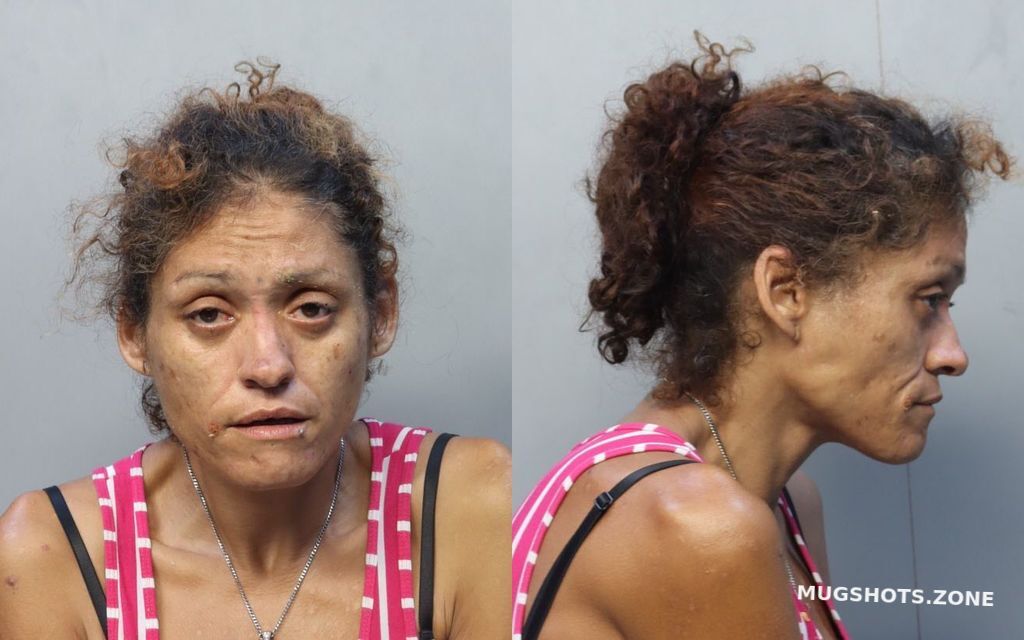 LOPEZ ROSLYN 06/25/2022 - Miami-Dade County Mugshots Zone