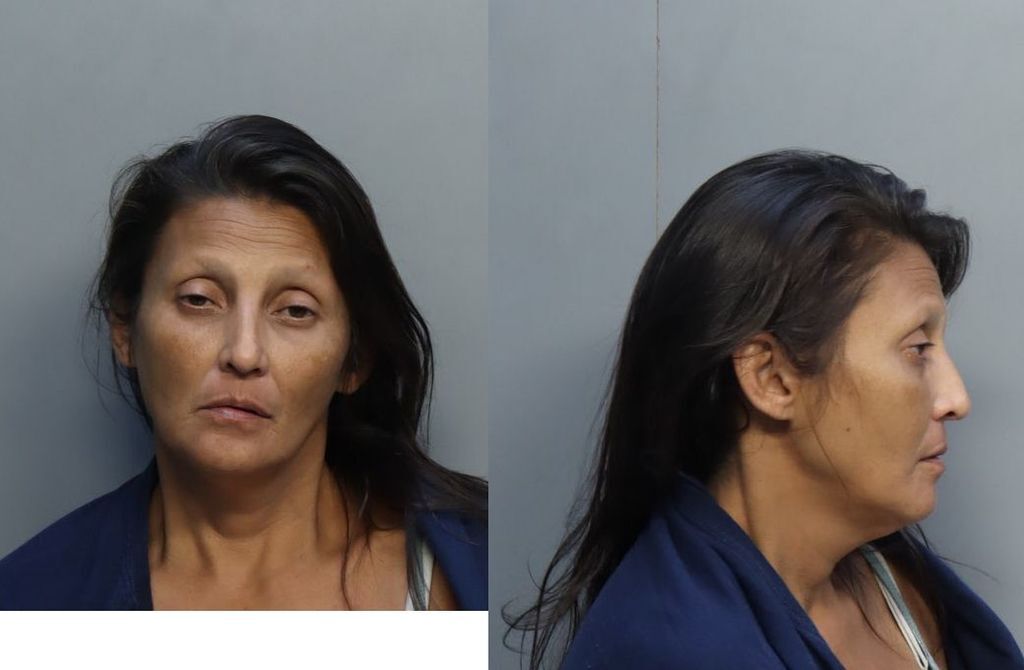 PALLONE VICTORIA NIVOLE 07/24/2022 - Miami-Dade County Mugshots Zone