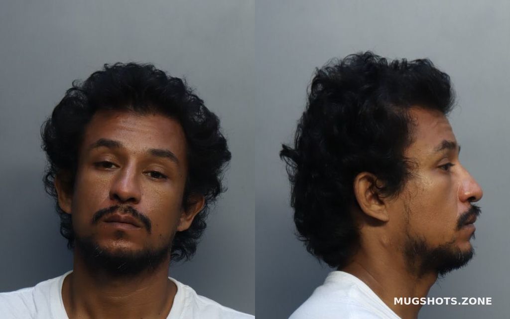 RABELO CARLOS 08/03/2022 - Miami-Dade County Mugshots Zone