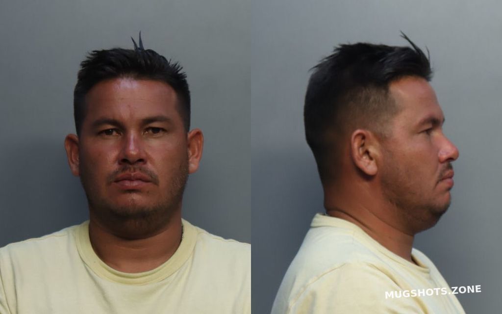 ANAYACALDERON JOSE LUIS 08/06/2022 - Miami-Dade County Mugshots Zone