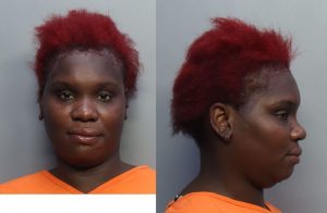 JOHNSON SHANTRICE KEANDRA 08/13/2022 - Miami-Dade County Mugshots Zone