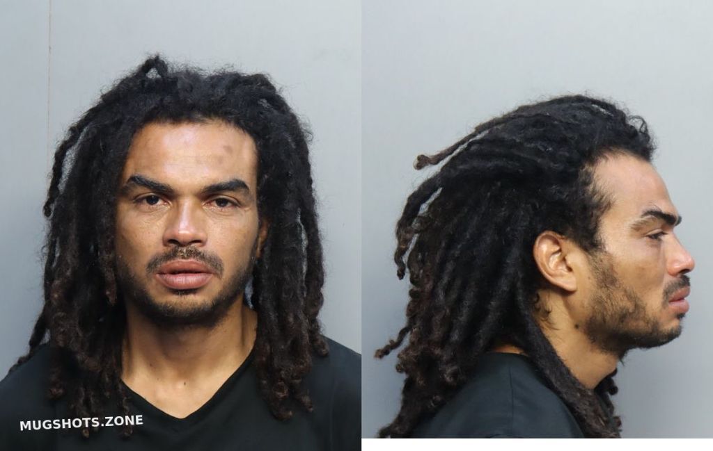 CANO LUIS FERNANDO 08/15/2022 - Miami-Dade County Mugshots Zone