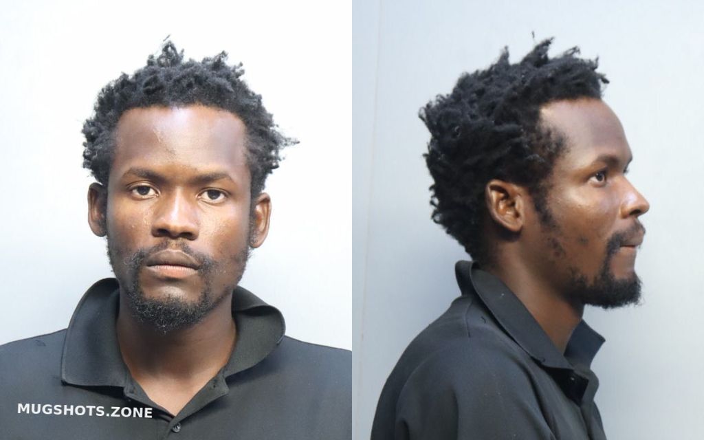 BROWN JAVONEY CHRISTON 08/17/2022 - Miami-Dade County Mugshots Zone