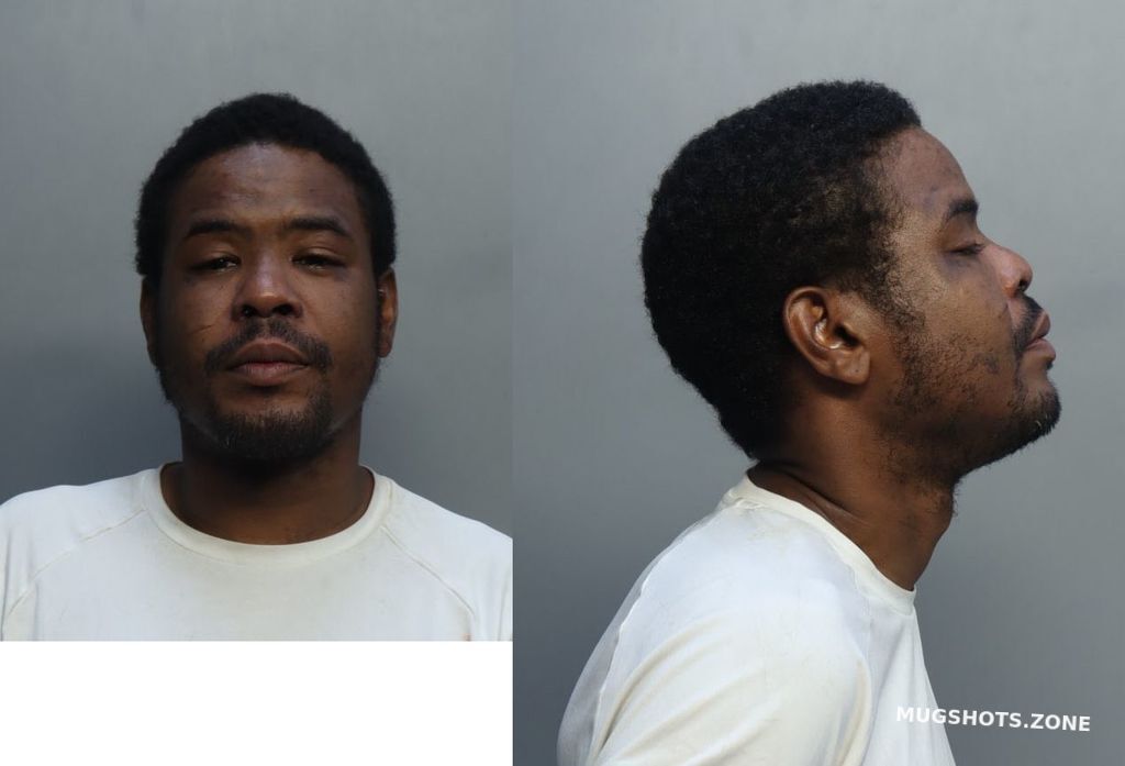 BLAKE JEAN 08/17/2022 - Miami-Dade County Mugshots Zone