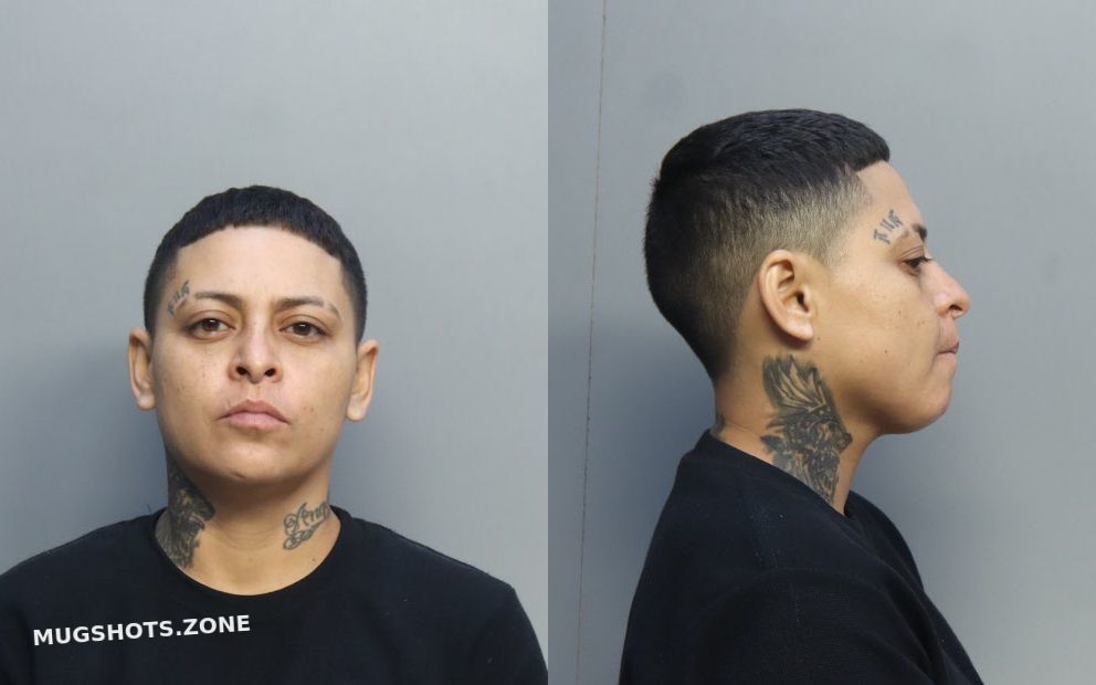 ALANIZ ANGELICIA 09/05/2022 - Miami-Dade County Mugshots Zone