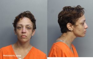 TERRAS YAREMIS INES 09/06/2022 - Miami-Dade County Mugshots Zone