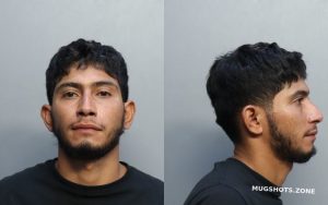 ARANA EDWIN 10/02/2022 - Miami-Dade County Mugshots Zone