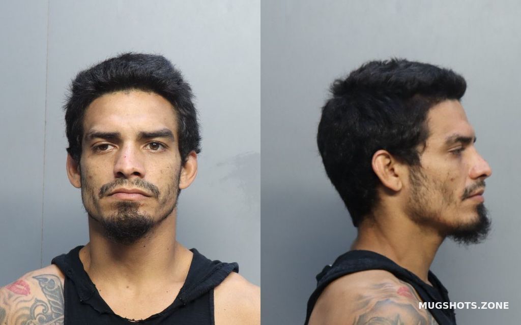 GULESIAN GEORGE 10/10/2022 - Miami-Dade County Mugshots Zone
