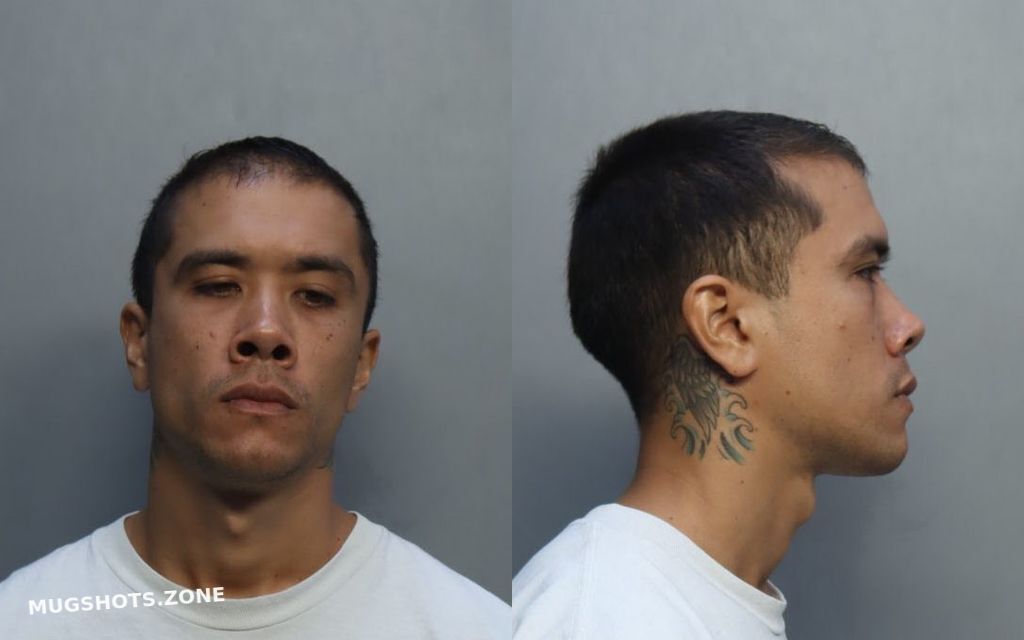 Hebblethwaite James 10 11 2022 Miami Dade County Mugshots Zone
