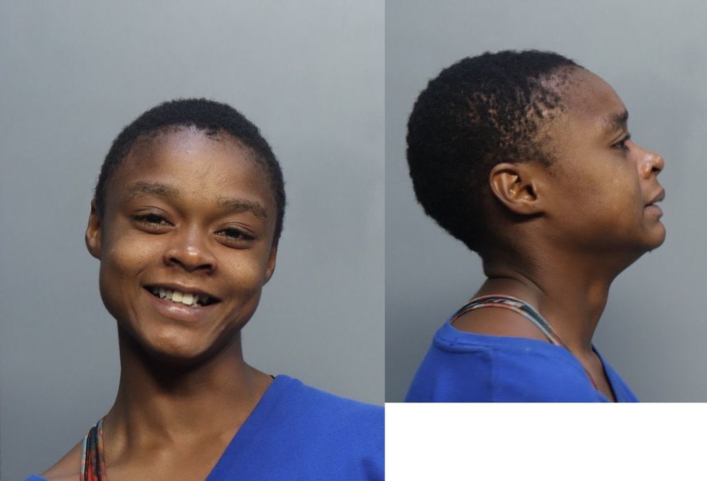 SEGARRA JOSEPHIN ALEXANDRA 10/16/2022 - Miami-Dade County Mugshots Zone SEGARRA JOSEPHIN ALEXANDRA 10/16/2022 - Miami-Dade County Mugshots Zone