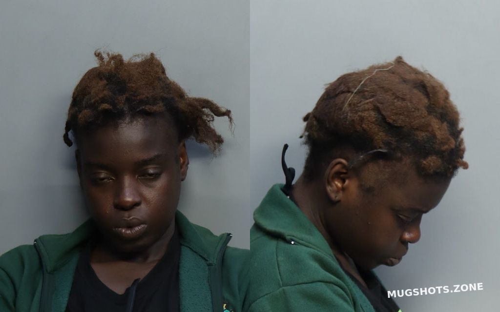 METAYER WITTELINE 11/02/2022 - Miami-Dade County Mugshots Zone