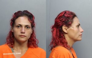 ROSARIO VERONICA 11/02/2022 - Miami-Dade County Mugshots Zone