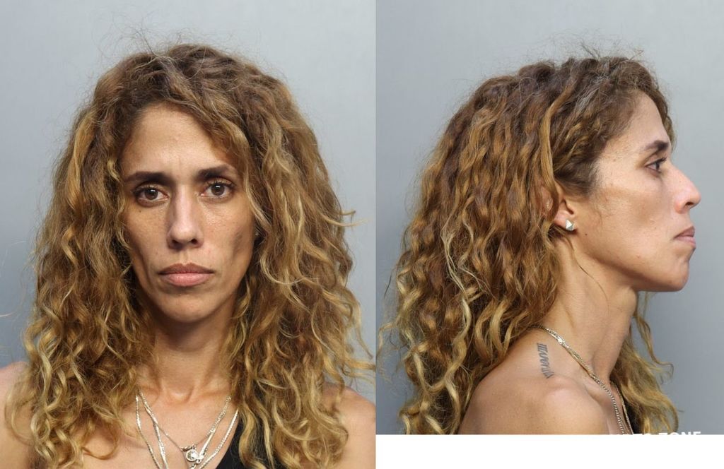 RODRIGUEZ NINET 11/03/2022 - Miami-Dade County Mugshots Zone