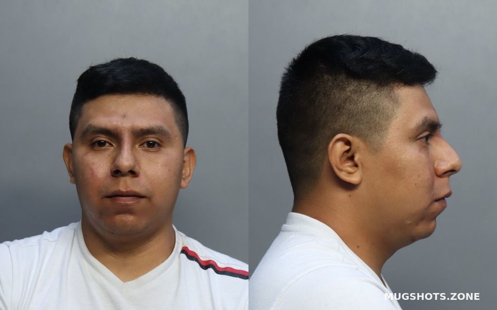 GONZALEZALVARADO ROLDAN DEJESUS 11/04/2022 - Miami-Dade County Mugshots ...