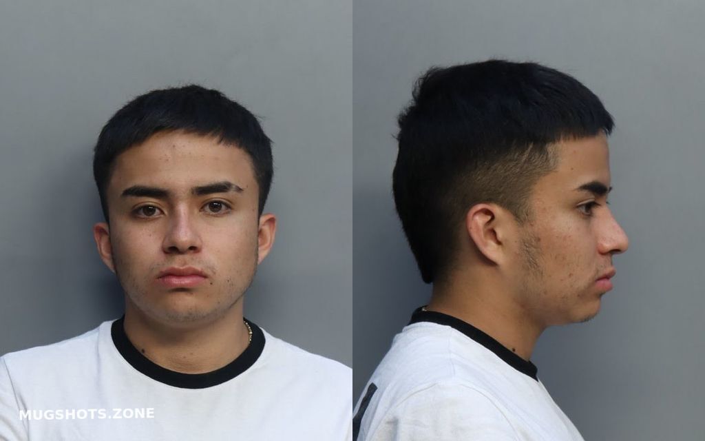MENESESCALDERON ANTHONY ALEJANDRO 11/04/2022 - Miami-Dade County ...