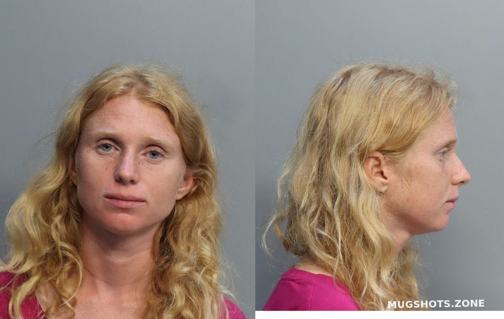 DAVIS MICHELLE NOEL 11/05/2022 - Miami-Dade County Mugshots Zone