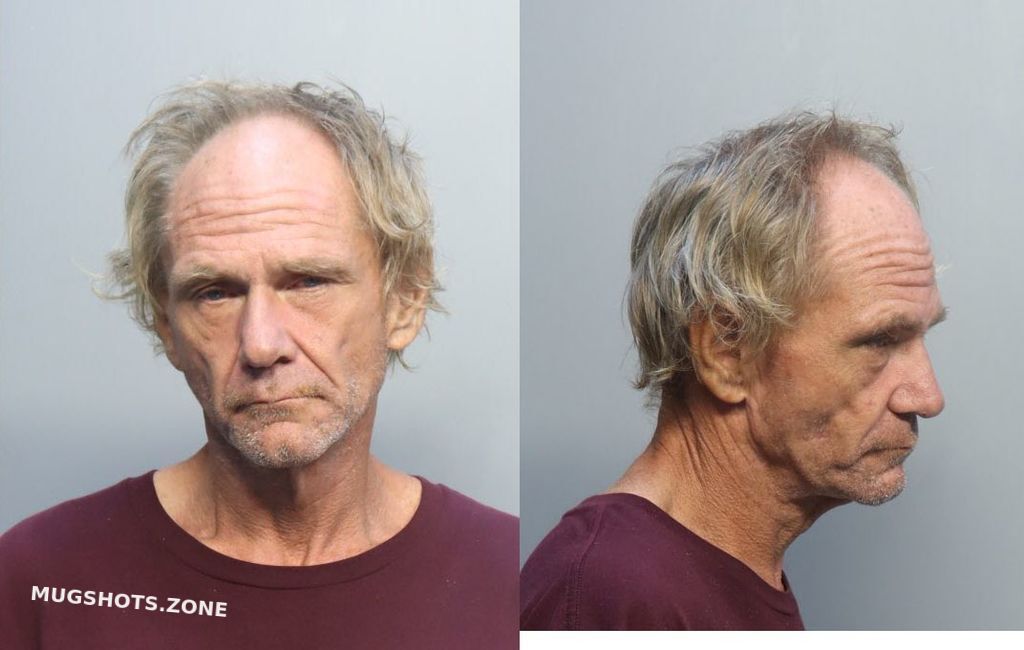ANDERSEN DAVID GROSS 11/08/2022 - Miami-Dade County Mugshots Zone ANDERSEN DAVID GROSS 11/08/2022 - Miami-Dade County Mugshots Zone