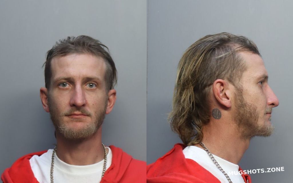 BALDOCCHI ALBERT WILLIAM 11/09/2022 - Miami-Dade County Mugshots Zone
