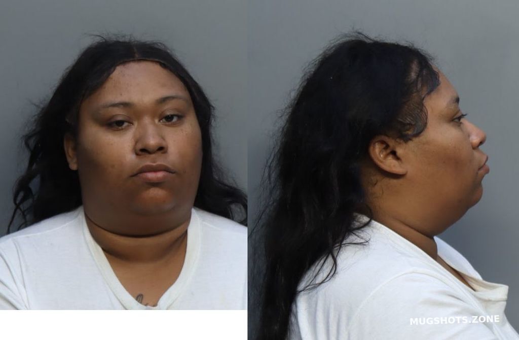 BLUNT JASMINE LASHAWN 11/09/2022 - Miami-Dade County Mugshots Zone