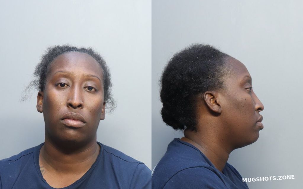 LEE FALASHA SHAMMA 11/10/2022 - Miami-Dade County Mugshots Zone