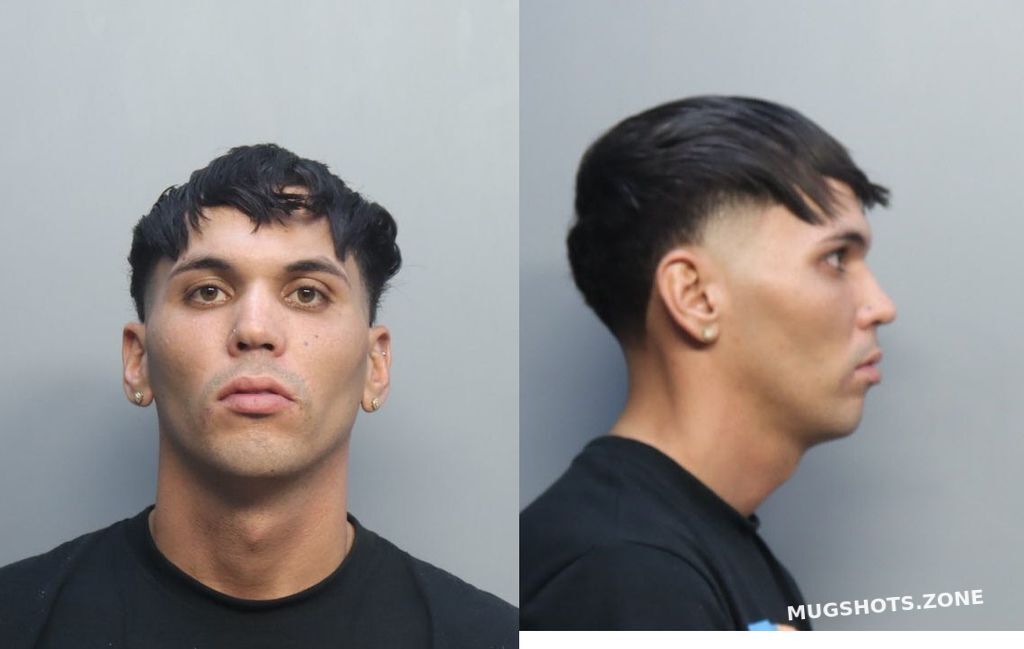 SYLVAPEREZ DAYRON 11/11/2022 - Miami-Dade County Mugshots Zone