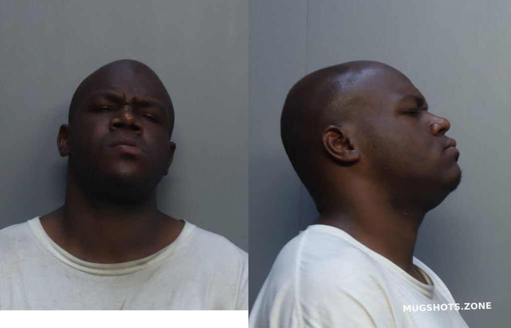 KNOWLES GEORGE THEO 11/11/2022 - Miami-Dade County Mugshots Zone