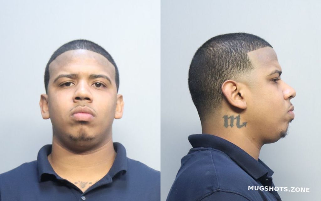 SORIANOSALDANA RAYMOND GABRIEL 11/12/2022 - Miami-Dade County Mugshots Zone