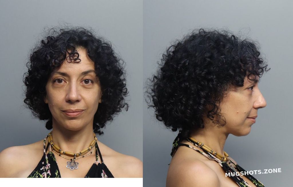FERNANDEZ MARIA LUISA 11/12/2022 - Miami-Dade County Mugshots Zone
