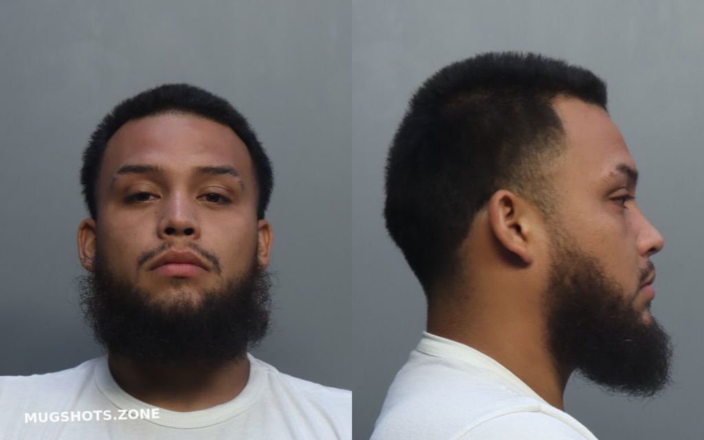 HIDALGO FERNANDO ANDRES 11/12/2022 - Miami-Dade County Mugshots Zone