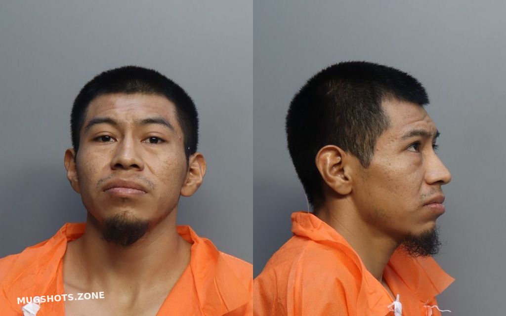 HERNANDEZPEREZ MYNOR RAMIRO 11/12/2022 - Miami-Dade County Mugshots Zone