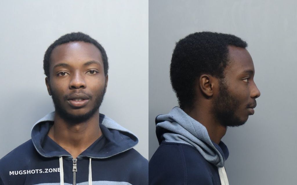 WILLIAMS DAMARCUS 11/14/2022 - Miami-Dade County Mugshots Zone