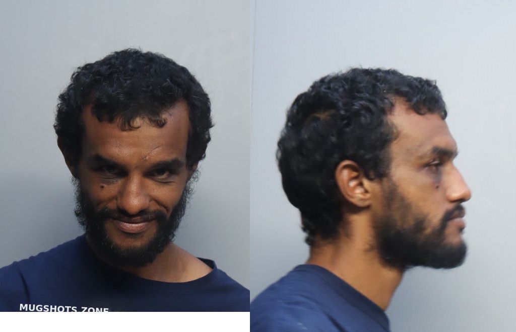 HENDRICKS CECIL 11/14/2022 - Miami-Dade County Mugshots Zone HENDRICKS CECIL 11/14/2022 - Miami-Dade County Mugshots Zone