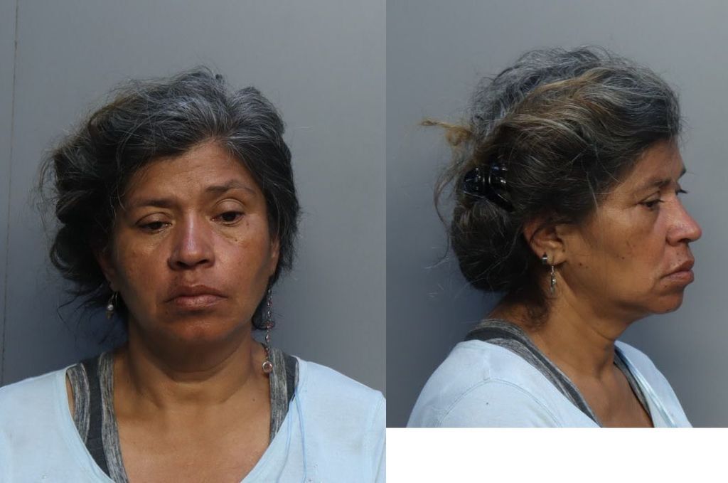 BALMACEDA MARTHA 11/14/2022 - Miami-Dade County Mugshots Zone