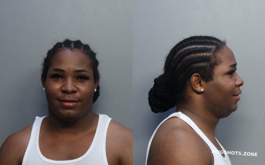 BLAKE DAMONTE LETROY 11/16/2022 - Miami-Dade County Mugshots Zone